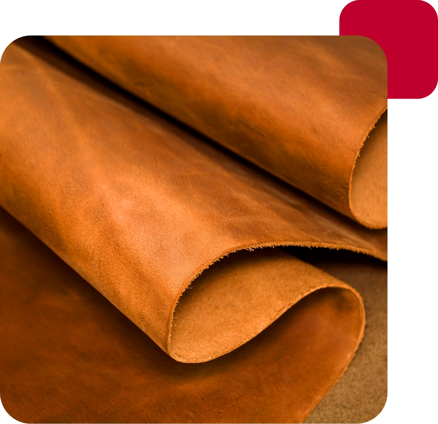 Colorantes Industriales